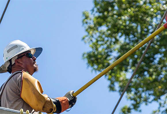SC Tree Trimming and Powerlines | Dominion Energy
