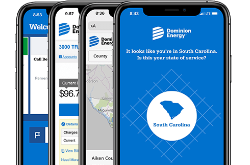 Report Outage or Emergency | South Carolina | Dominion Energy